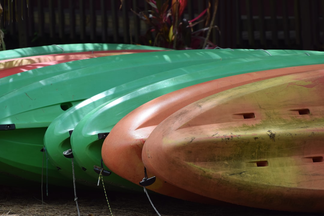 Revolutionizing the Florida Lotto: How AI Technology is Enhancing ...